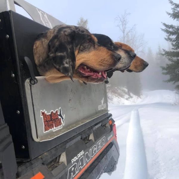 Home - Tree Dog Kustoms